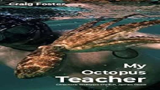 Octopus Teacher
